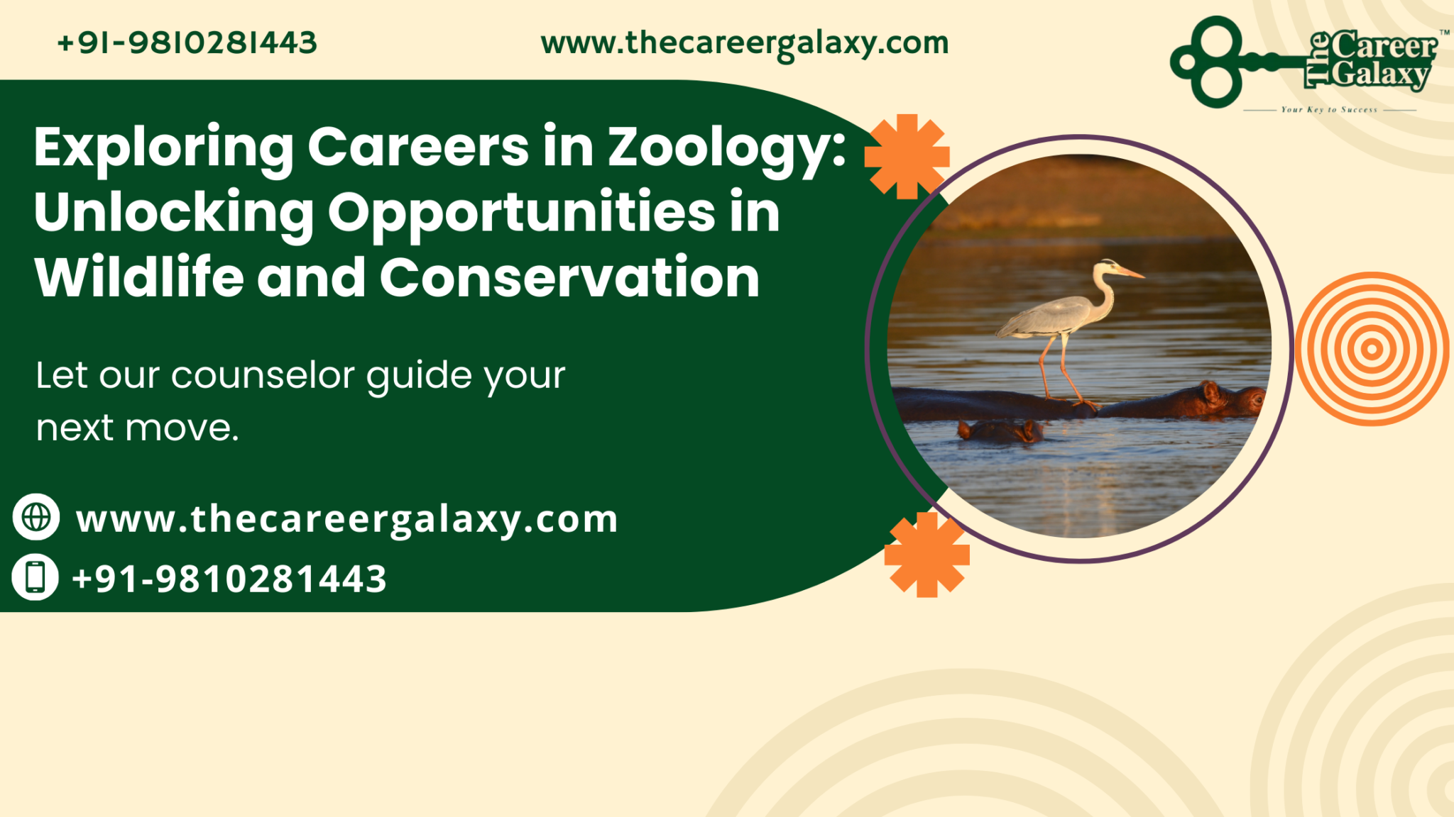 Exploring Careers in Zoology: Unlocking Opportunities in Wildlife and ...